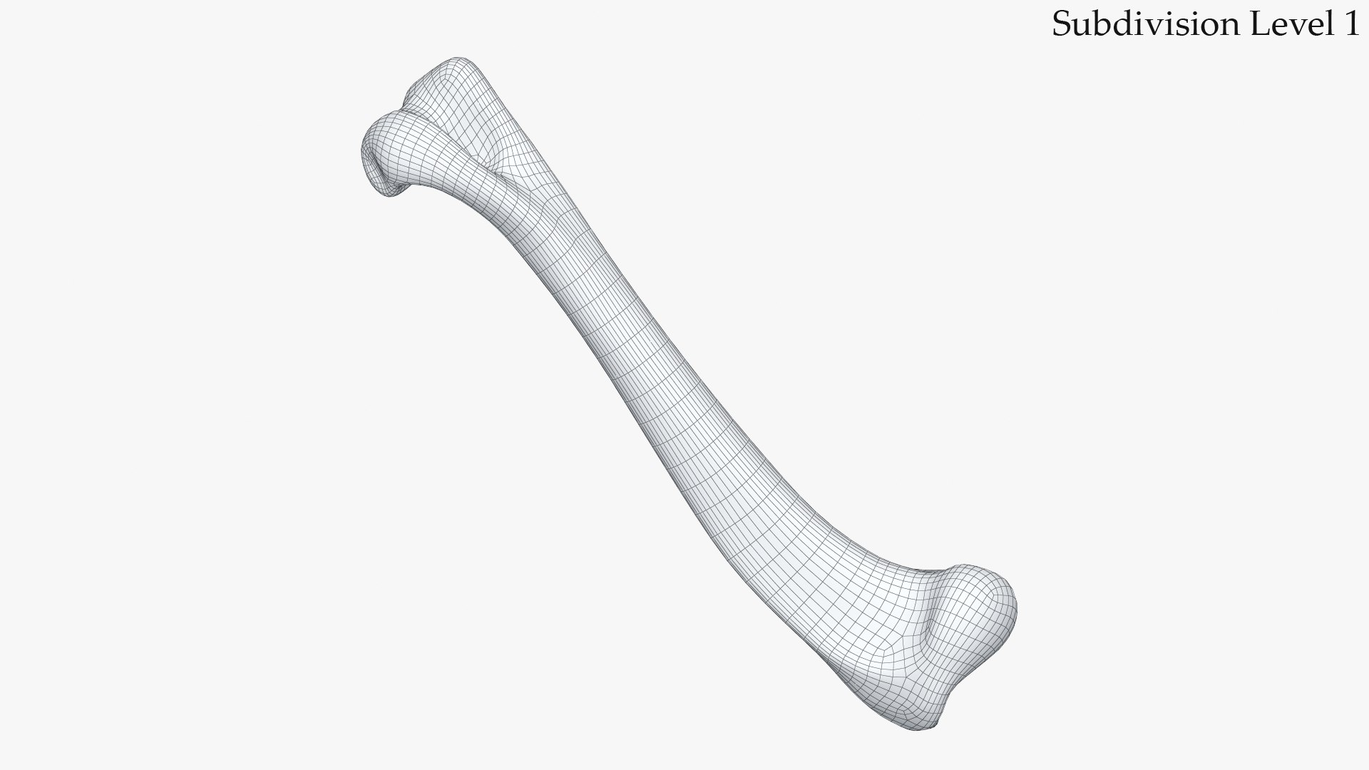 Bone Pbr 3D Model - TurboSquid 1542689