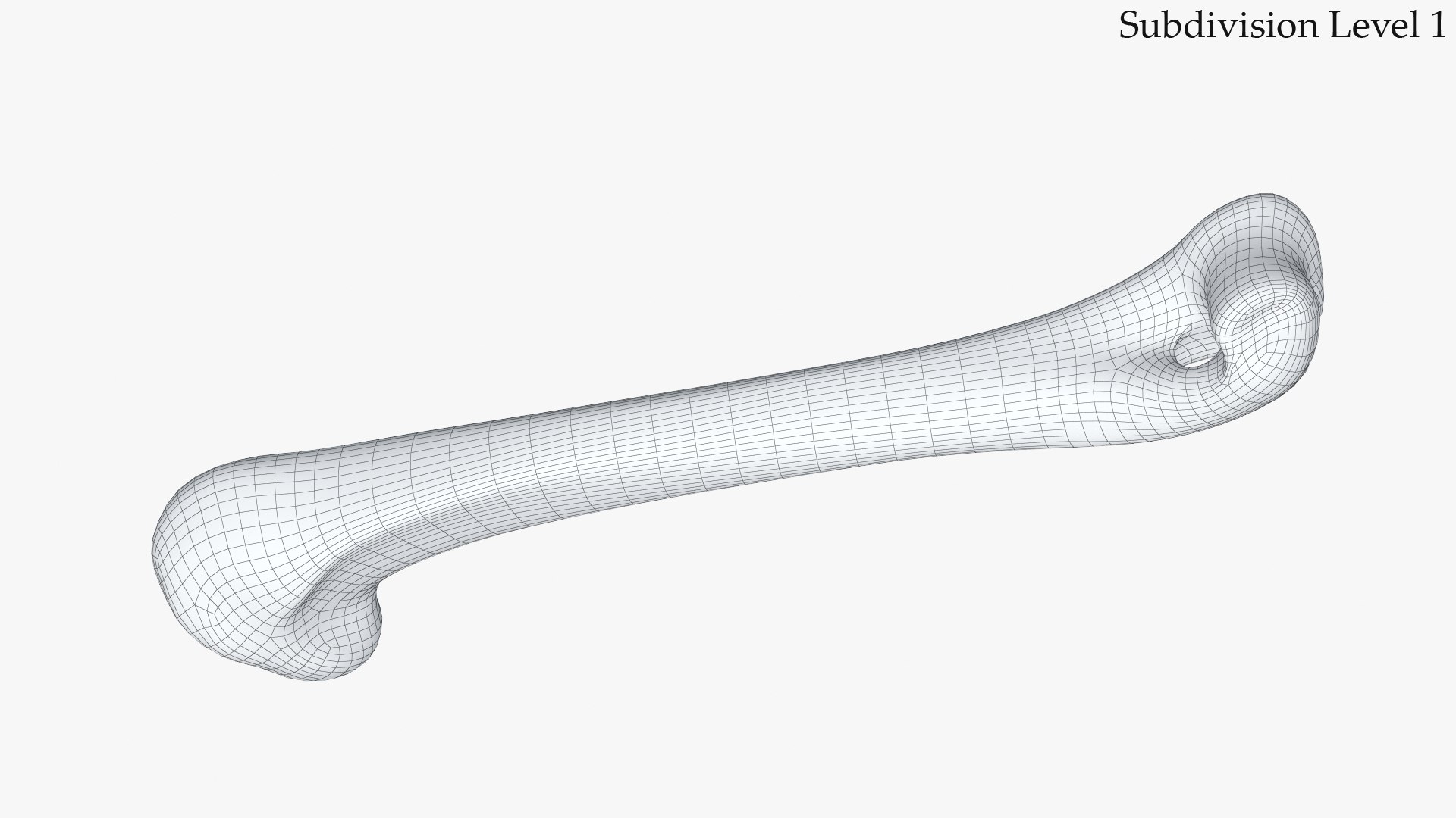 Bone Pbr 3D Model - TurboSquid 1542689