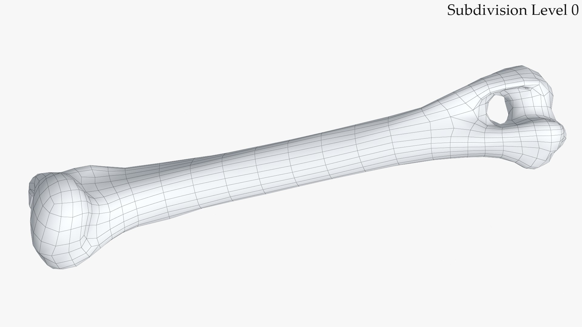 Bone Pbr 3D Model - TurboSquid 1542689