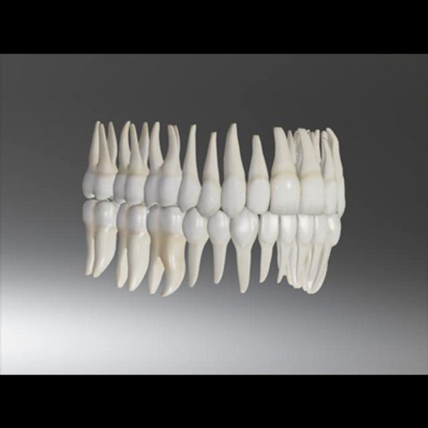 3d teeth tooth