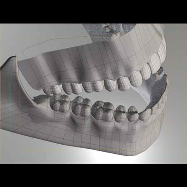 3d teeth tooth