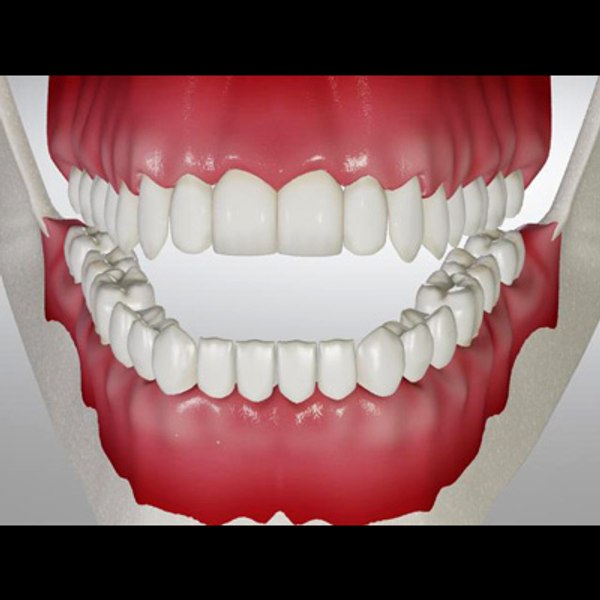 3d teeth tooth
