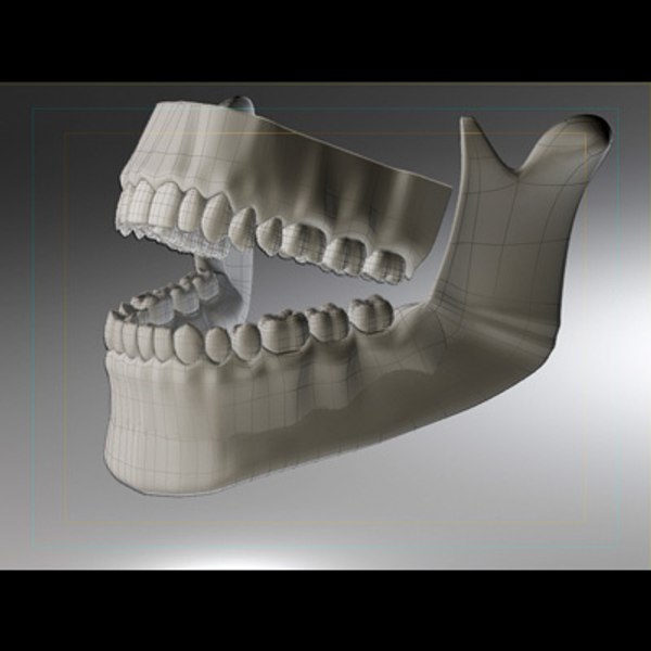 3d teeth tooth