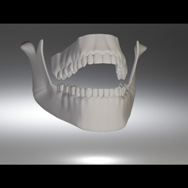 3d teeth tooth
