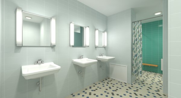 community bathroom max