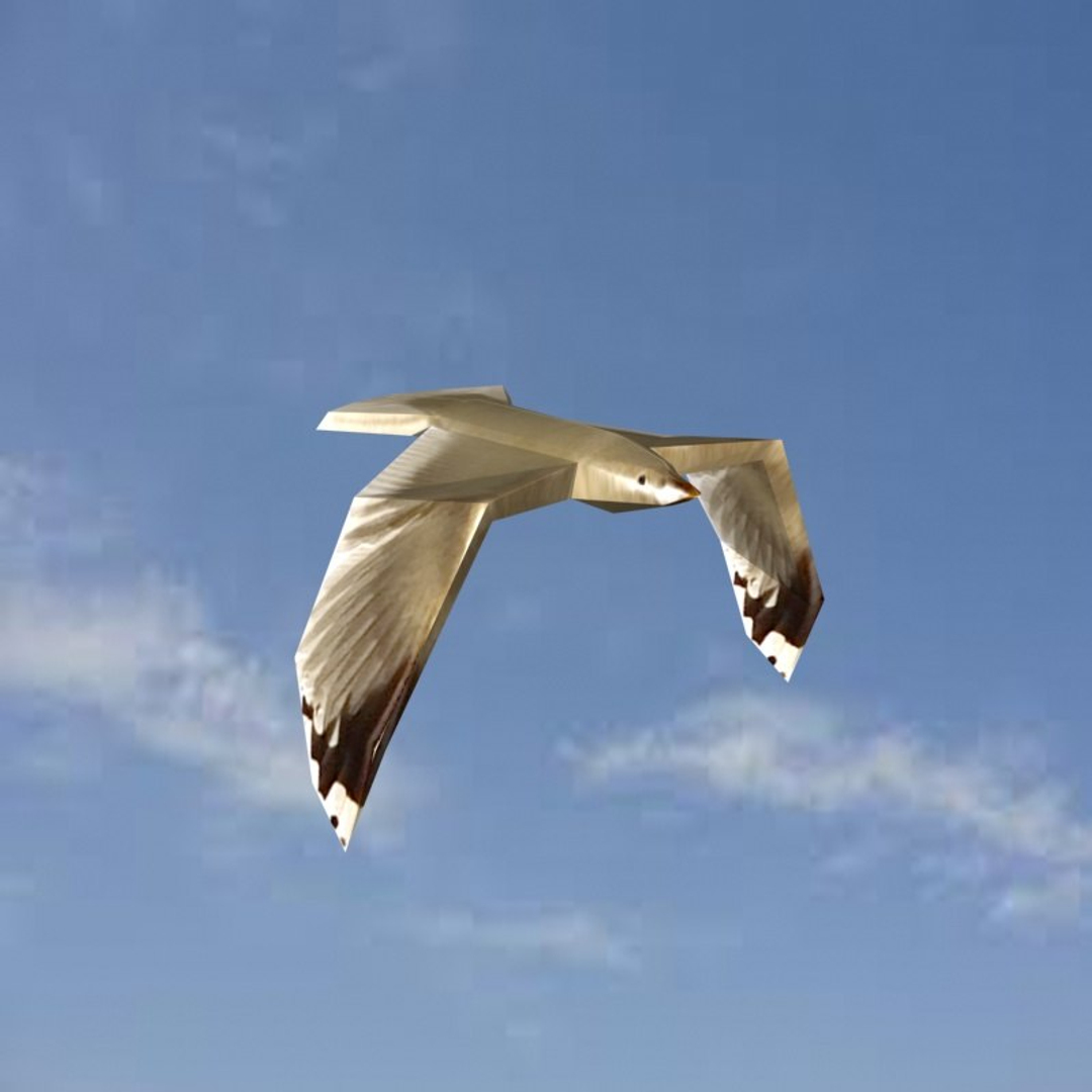 3d Seagull Sea Model