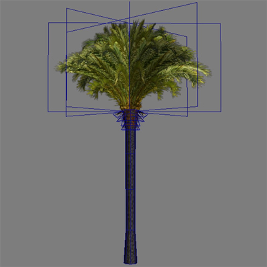 3d pc palm model