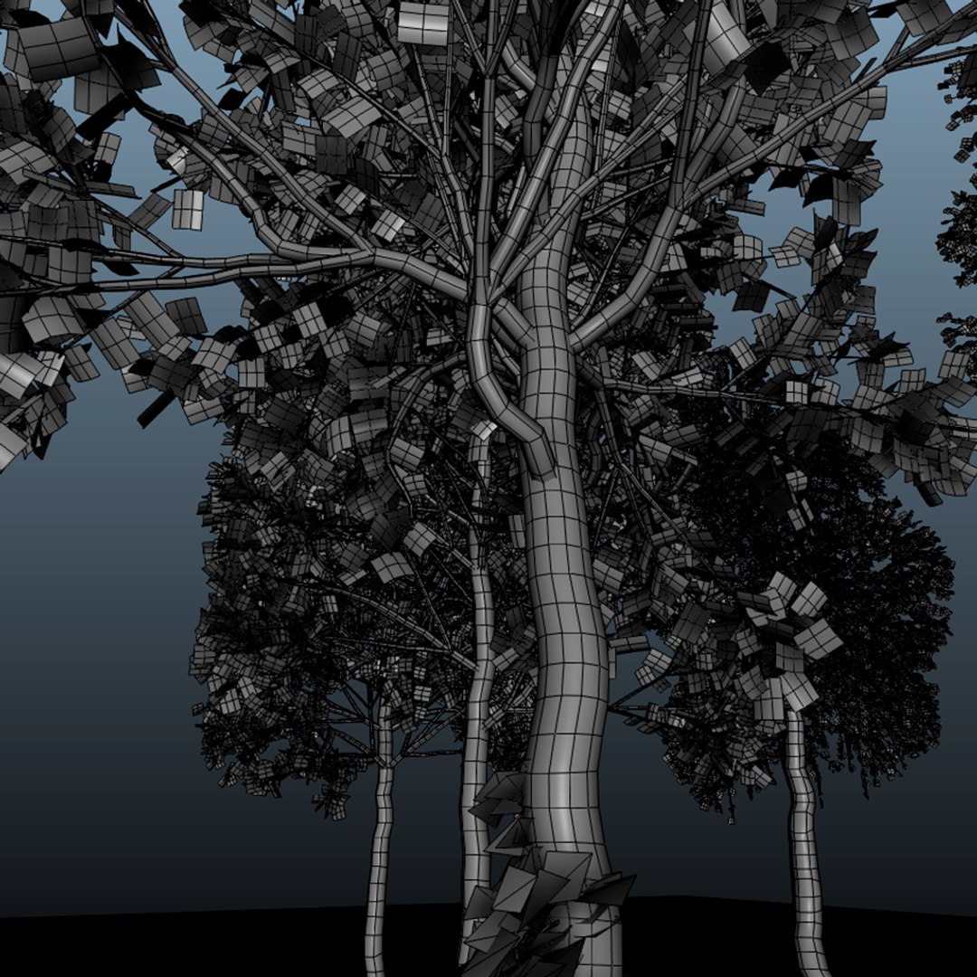 3d Burches Tree Model