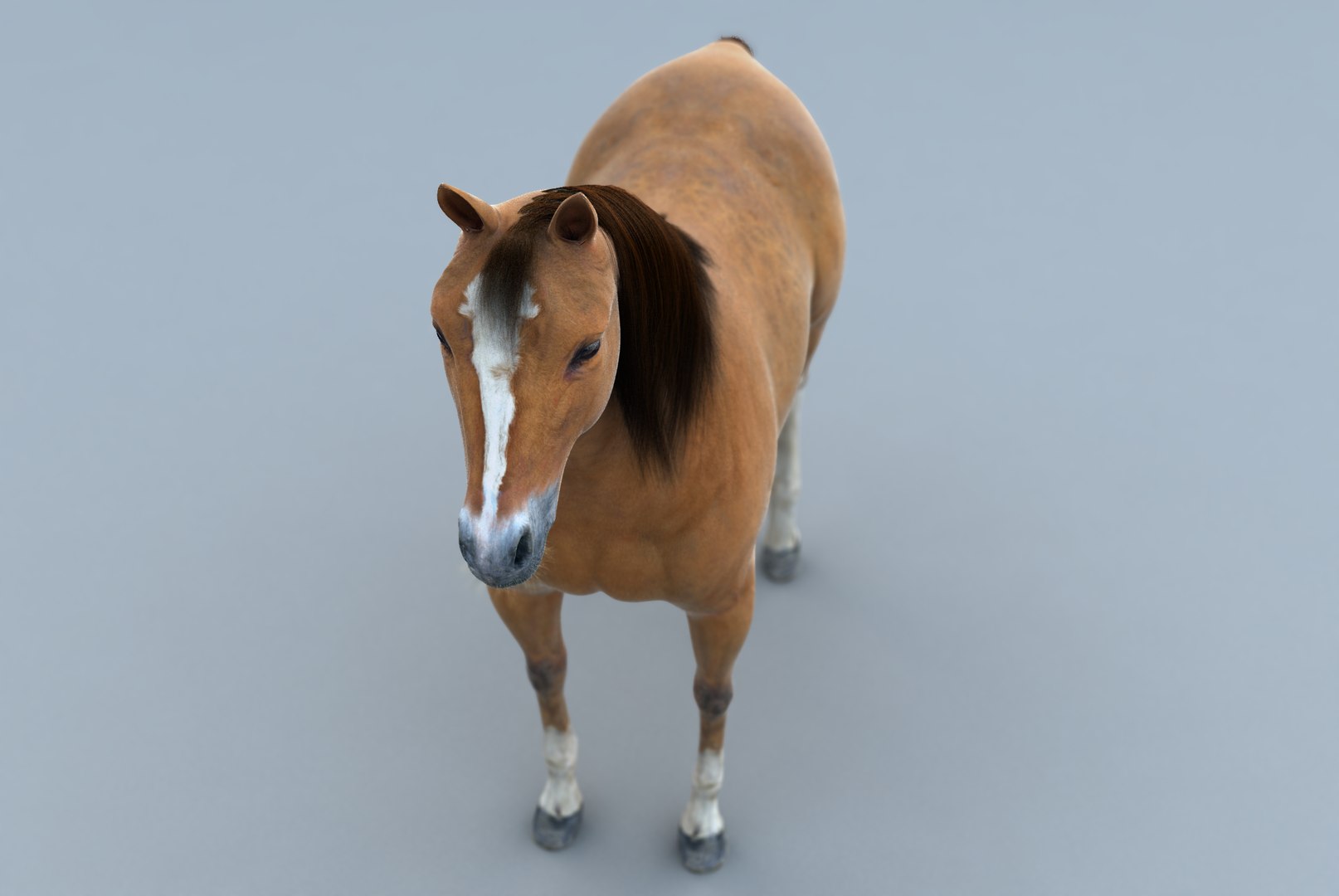 3d Realistic Horse Rig