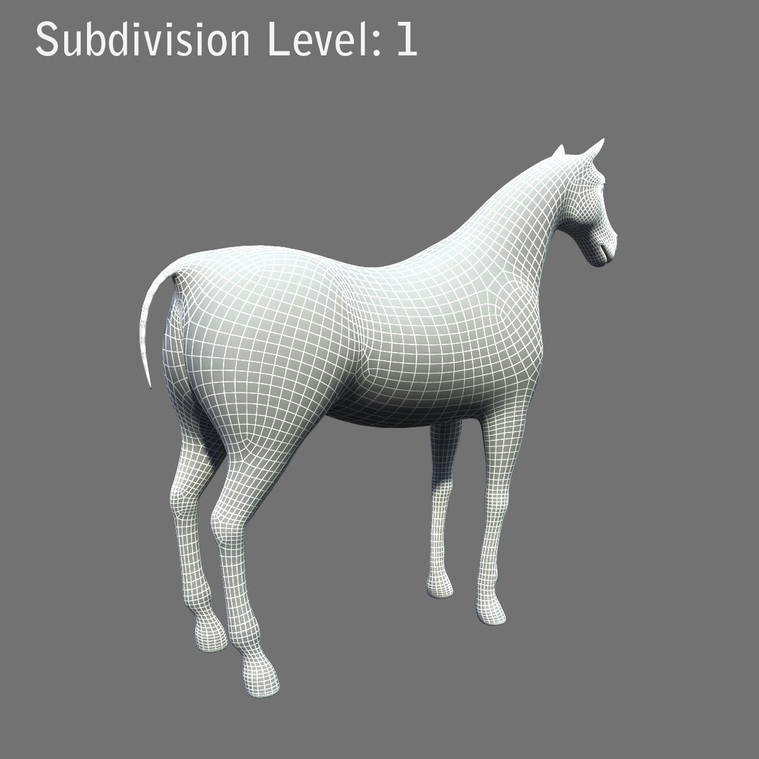 3d Realistic Horse Rig