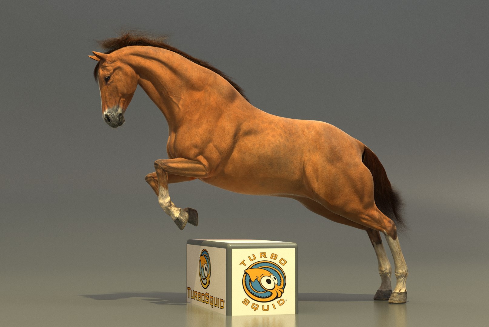 3d Realistic Horse Rig
