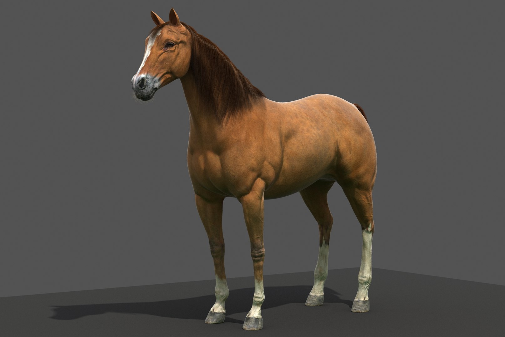 3d Realistic Horse Rig