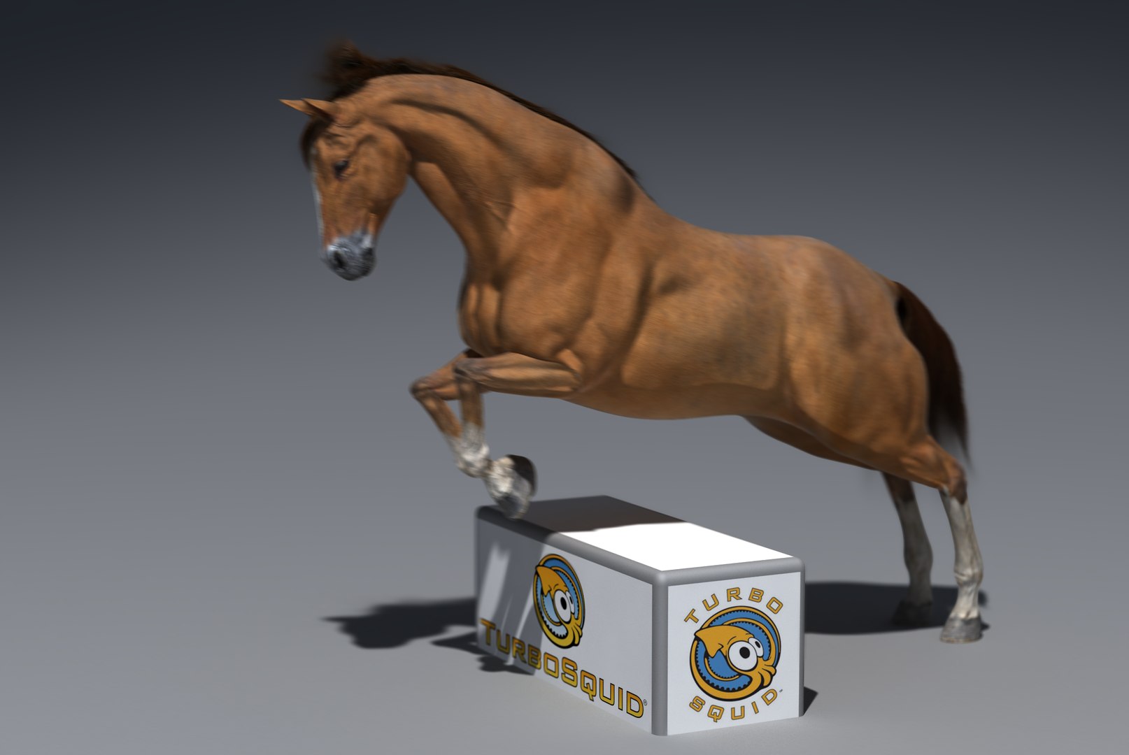 3d Realistic Horse Rig