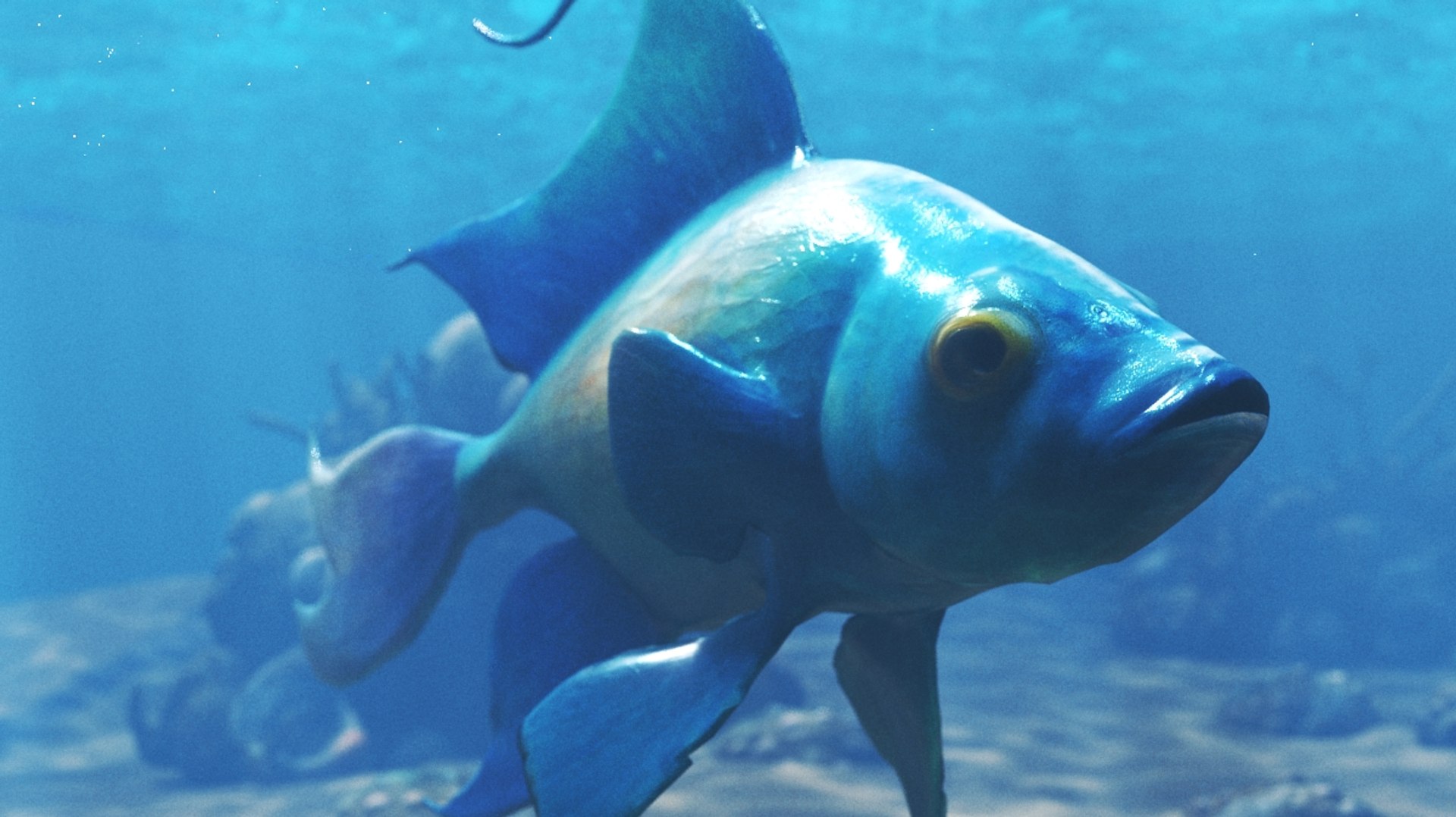 3D Fish Marine Life Pack - TurboSquid 2337911
