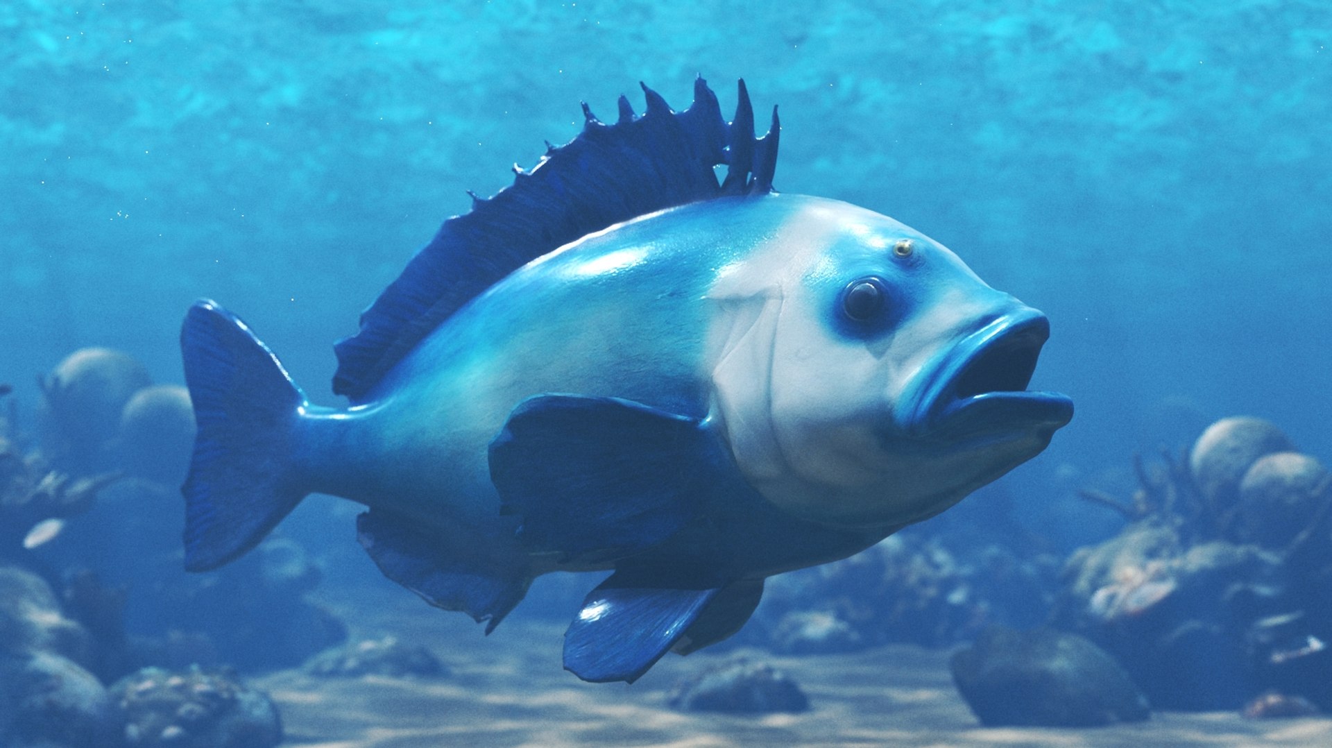 3D Fish Marine Life Pack - TurboSquid 2337911