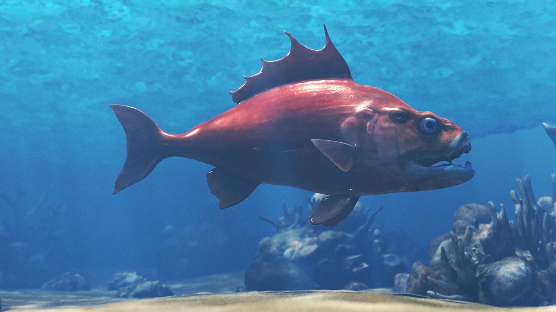 3D Fish Marine Life Pack - TurboSquid 2337911
