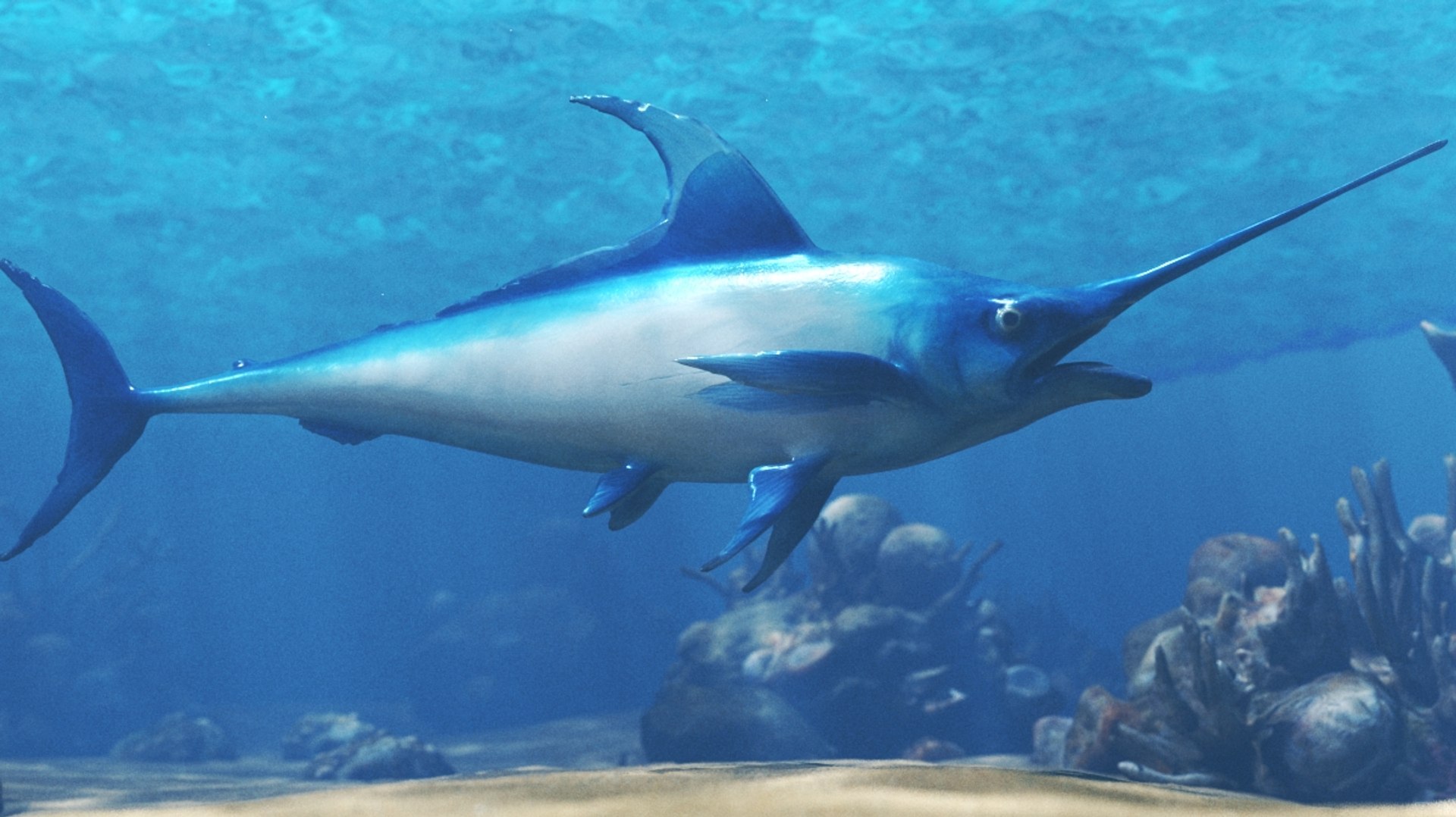 3D Fish Marine Life Pack - TurboSquid 2337911