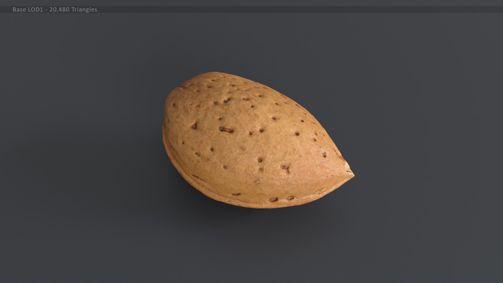 3D Almond Unshelled 3 Model - TurboSquid 1990333