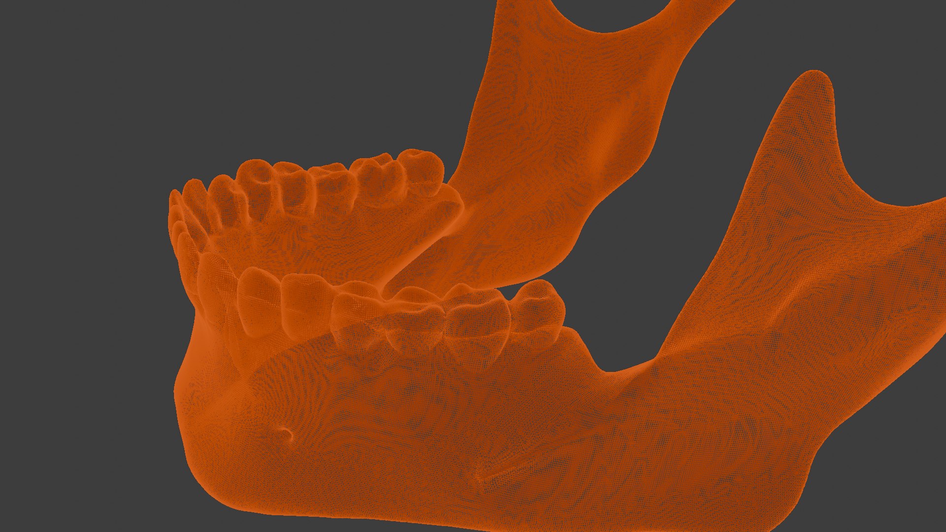 Human Lower Jaw Mandible 3D Model - TurboSquid 2382683