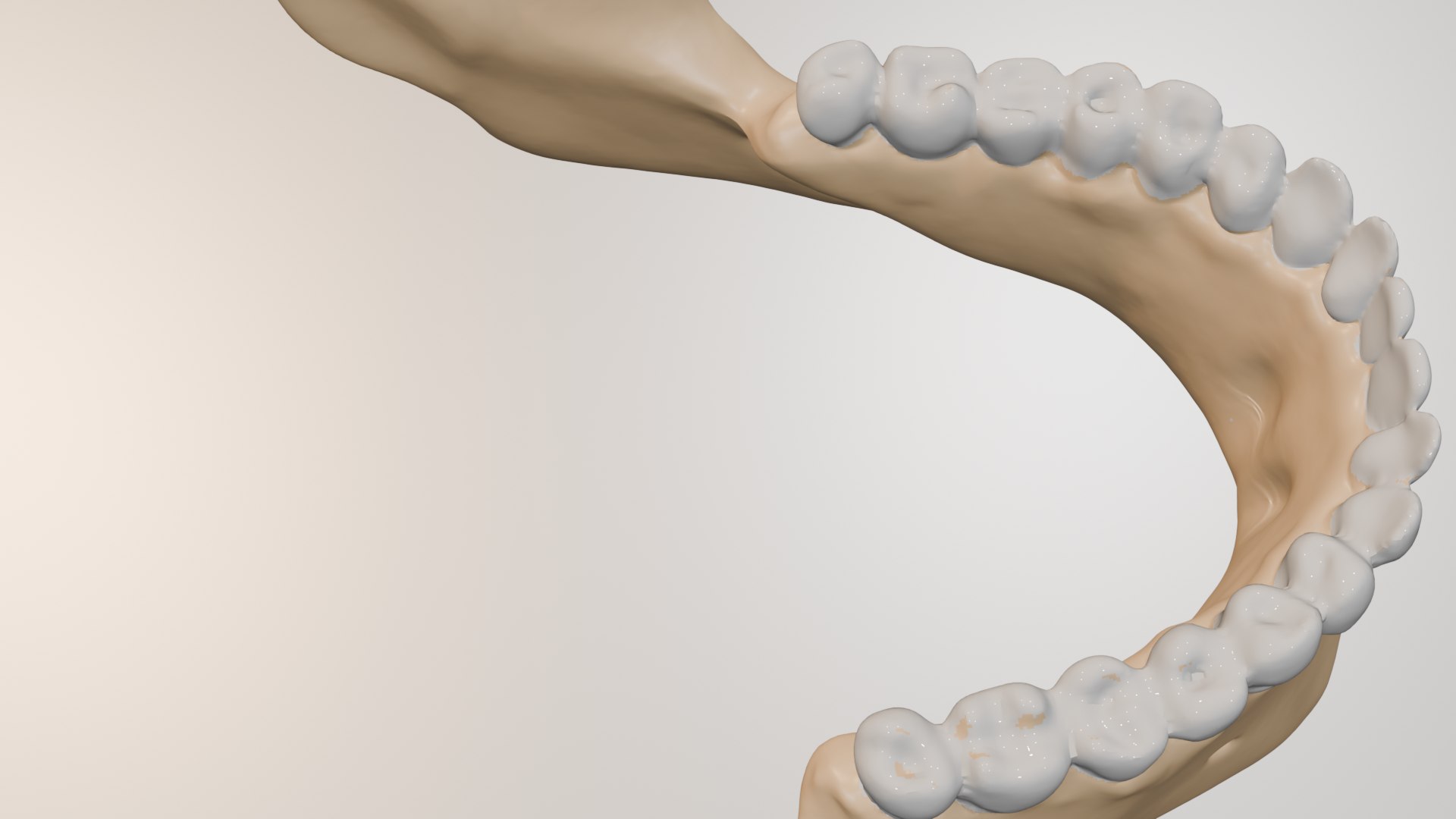 Human Lower Jaw Mandible 3D Model - TurboSquid 2382683