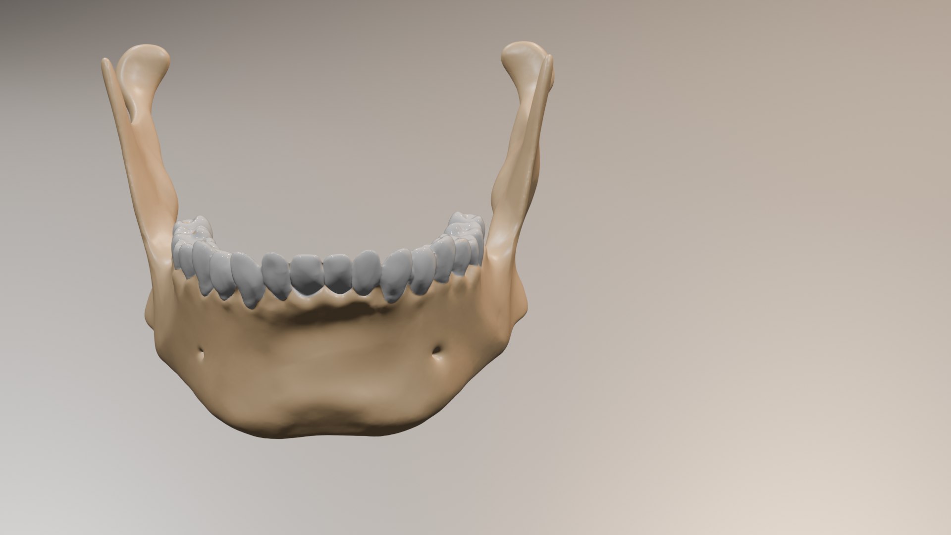 Human Lower Jaw Mandible 3D Model - TurboSquid 2382683