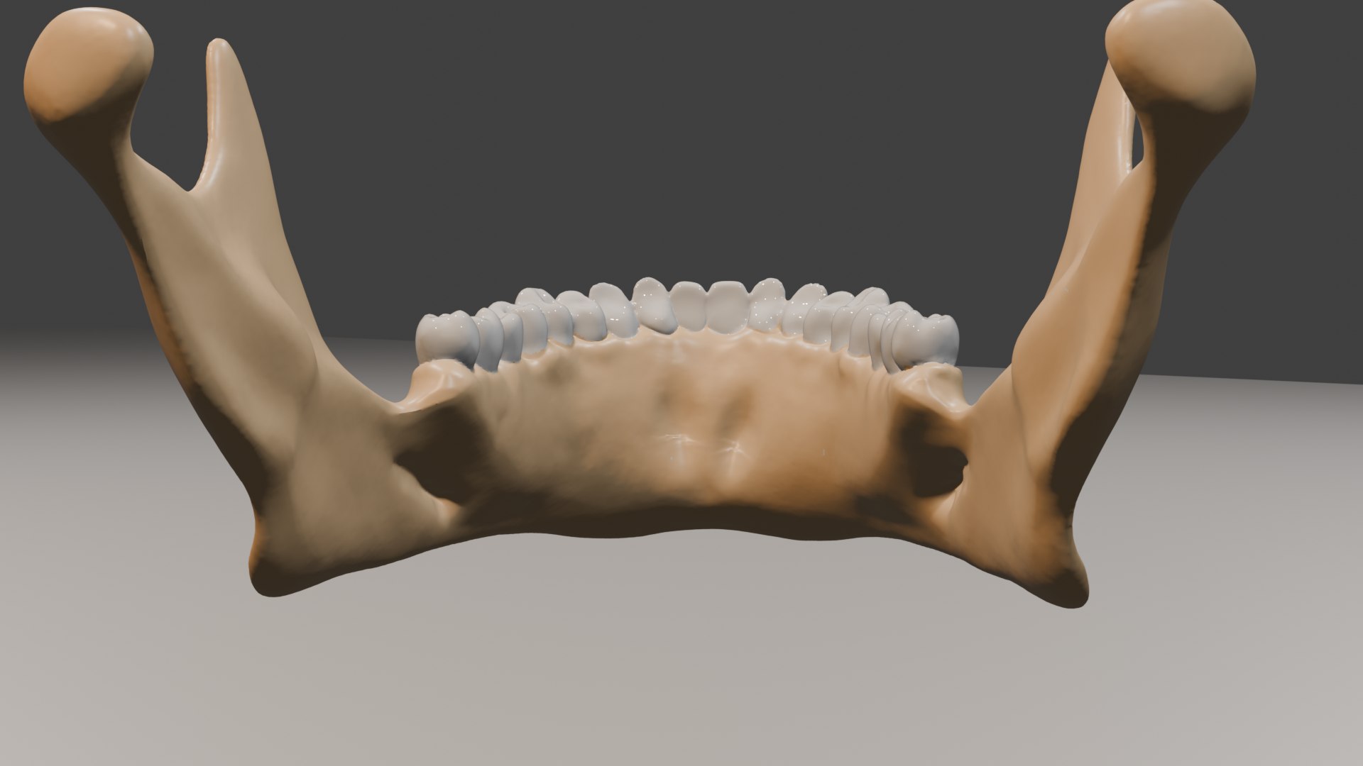Human Lower Jaw Mandible 3D Model - TurboSquid 2382683