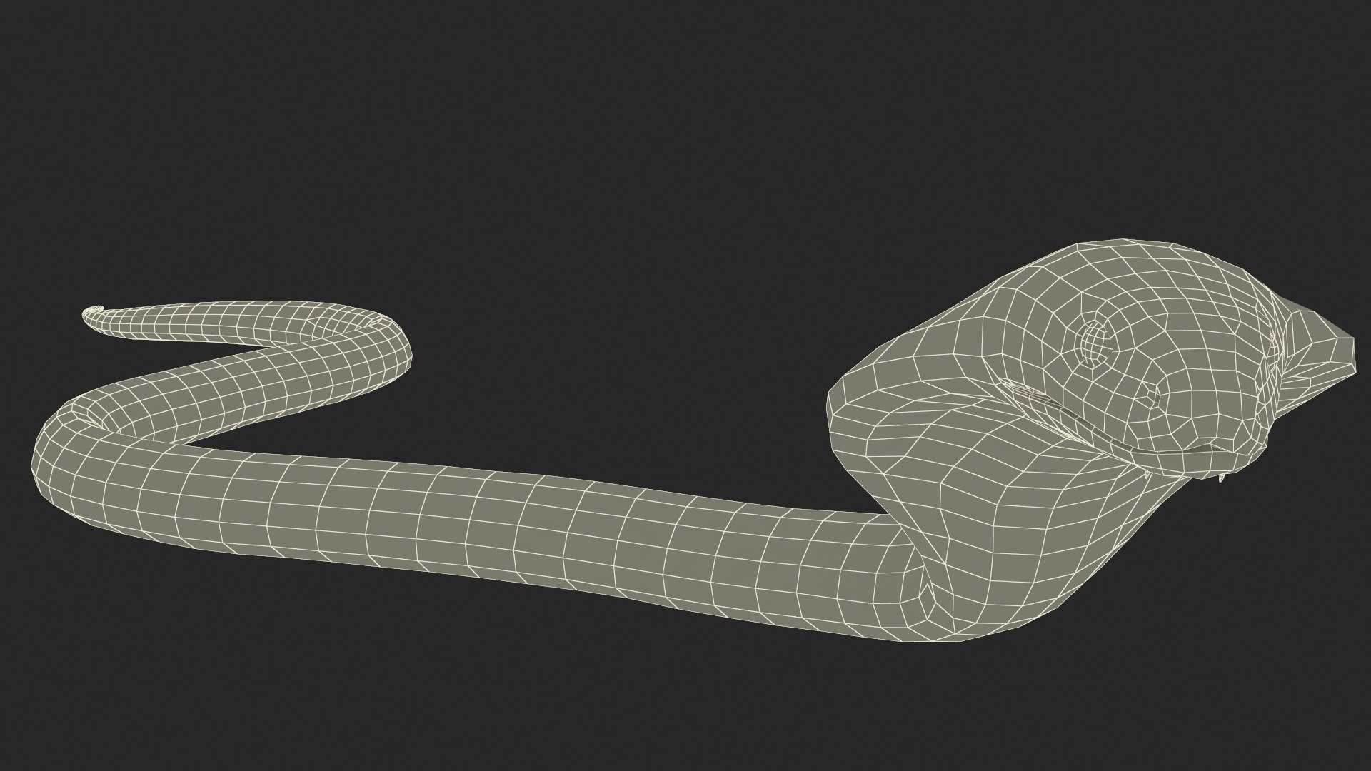 3D Naja Cobra Snake Crawling Animated Rigged - TurboSquid 2413883
