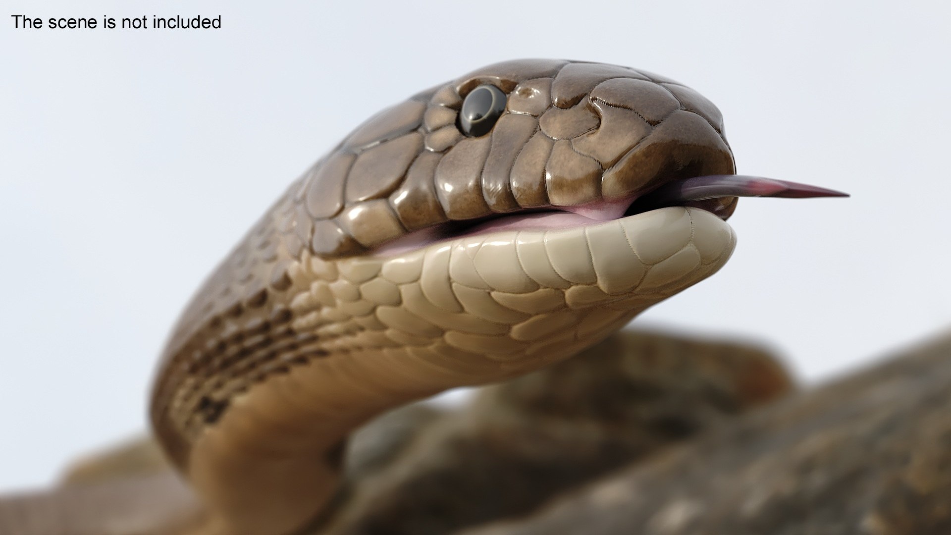 3D Naja Cobra Snake Crawling Animated Rigged - TurboSquid 2413883