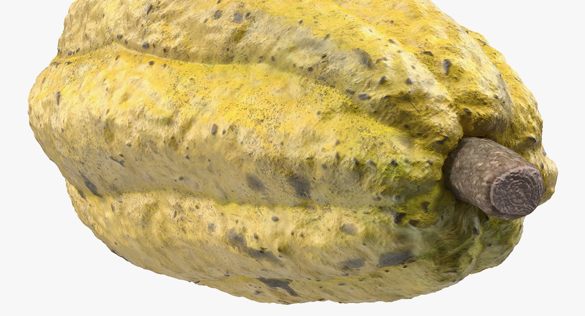 Yellow Cocoa Fruit 3D Model - TurboSquid 1373425
