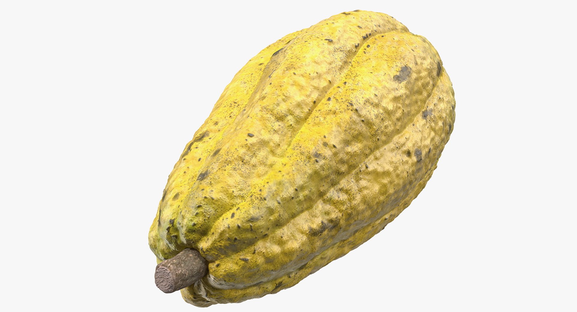 Yellow cocoa fruit 3D model - TurboSquid 1373425