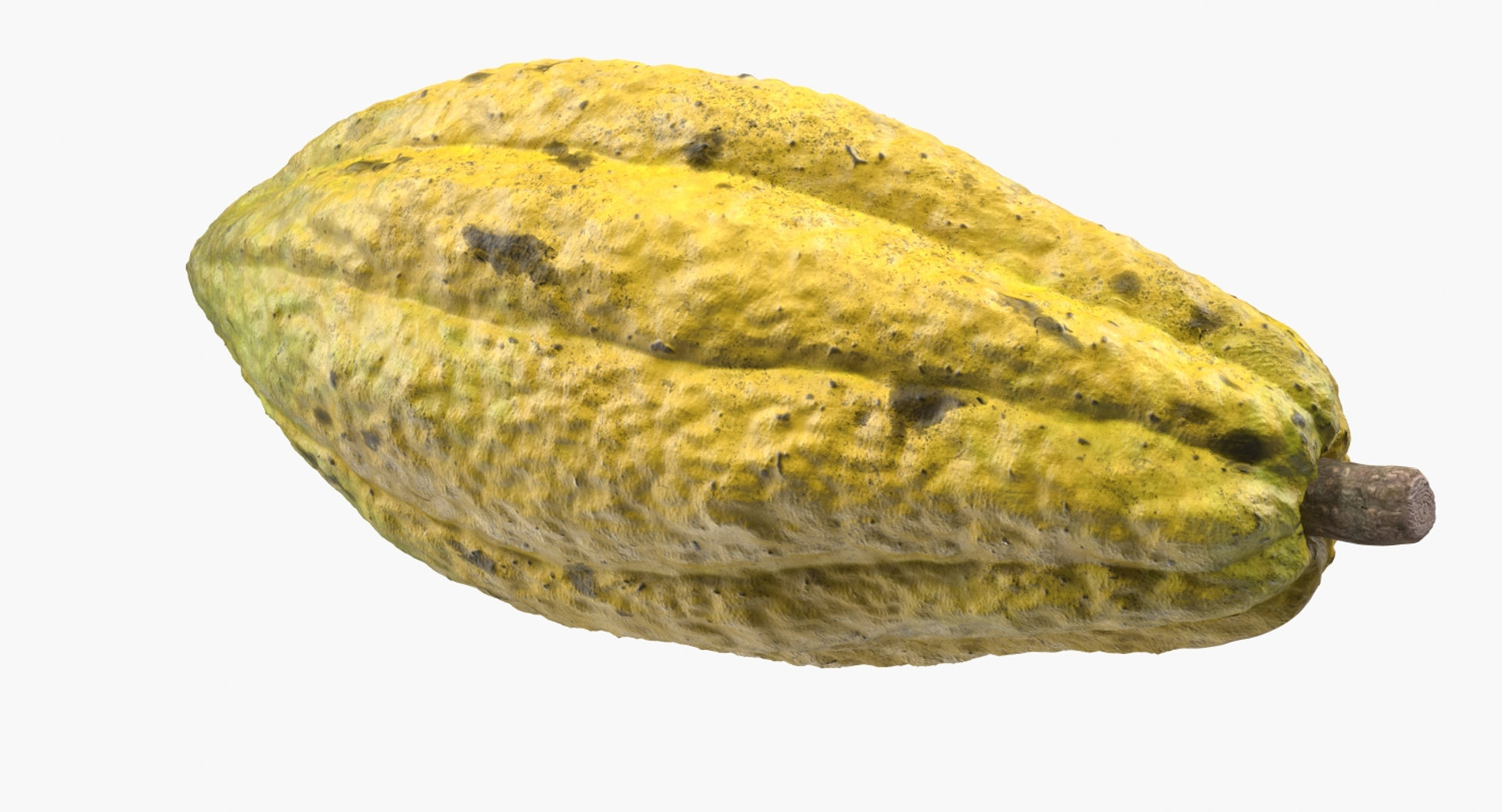 Yellow Cocoa Fruit 3D Model - TurboSquid 1373425