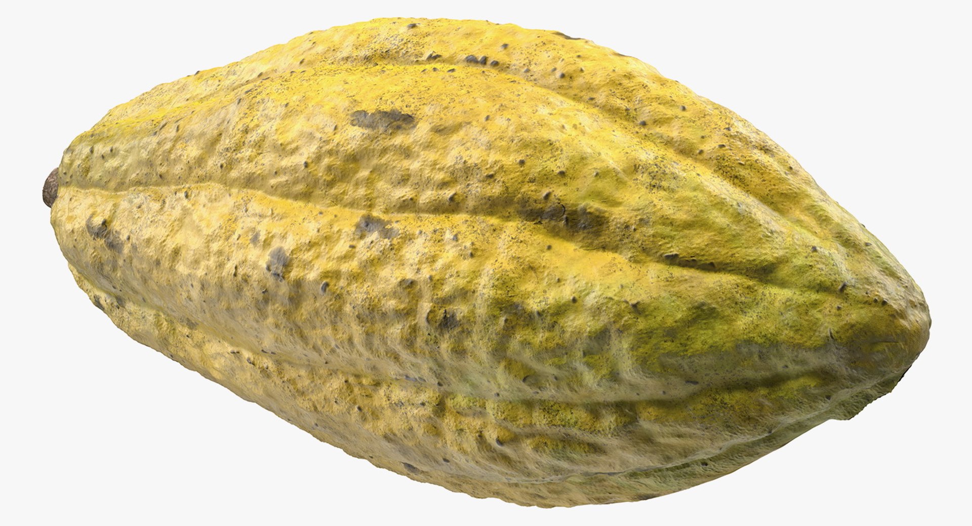 Yellow Cocoa Fruit 3D Model - TurboSquid 1373425