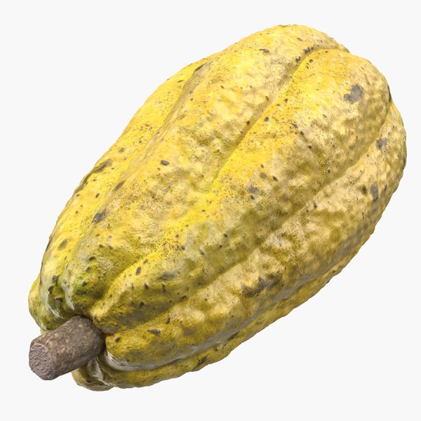 Cocoa bean fruit 3D model - TurboSquid 1380093