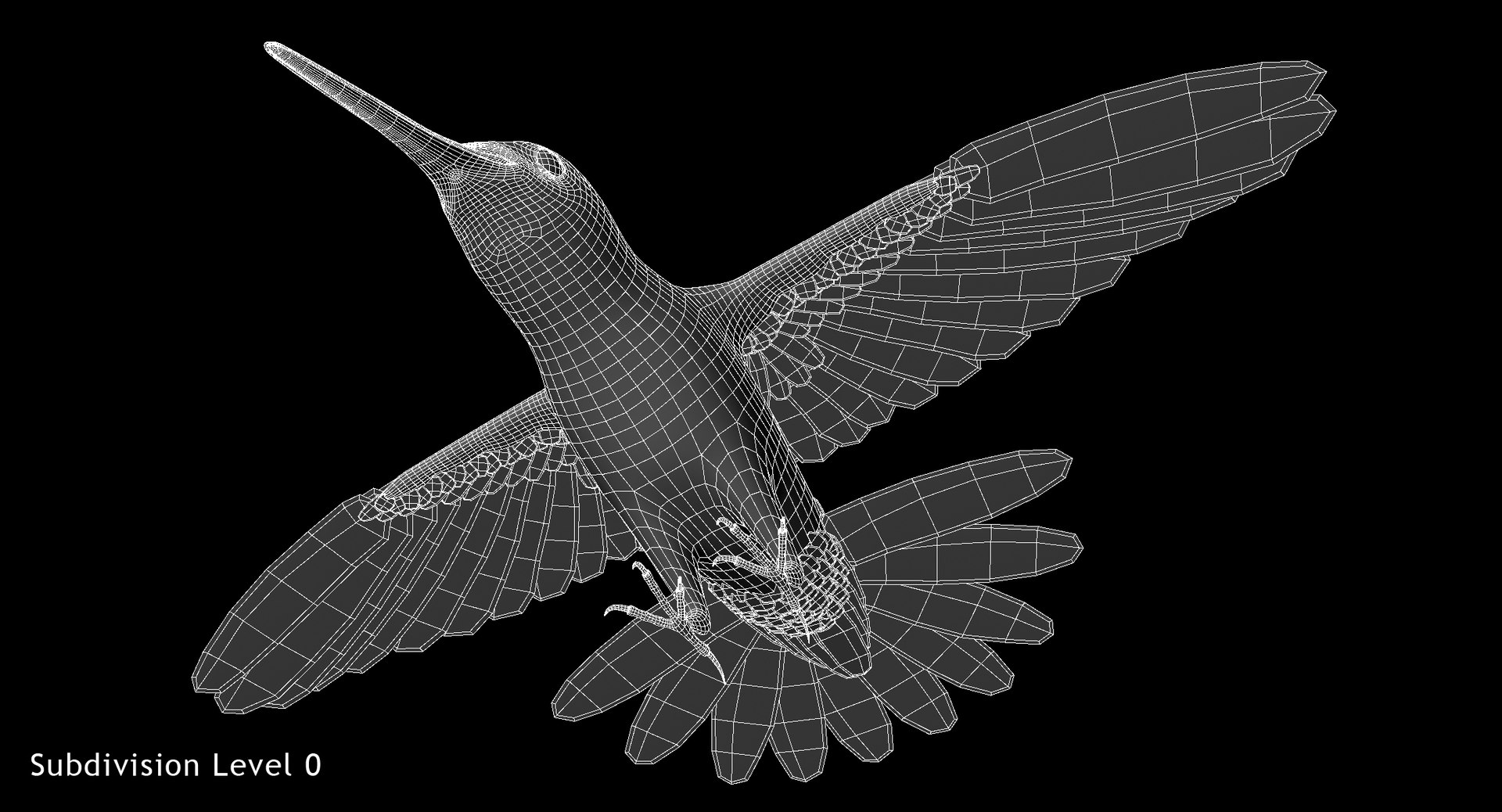 3D anna s hummingbird animation model - TurboSquid 1454246