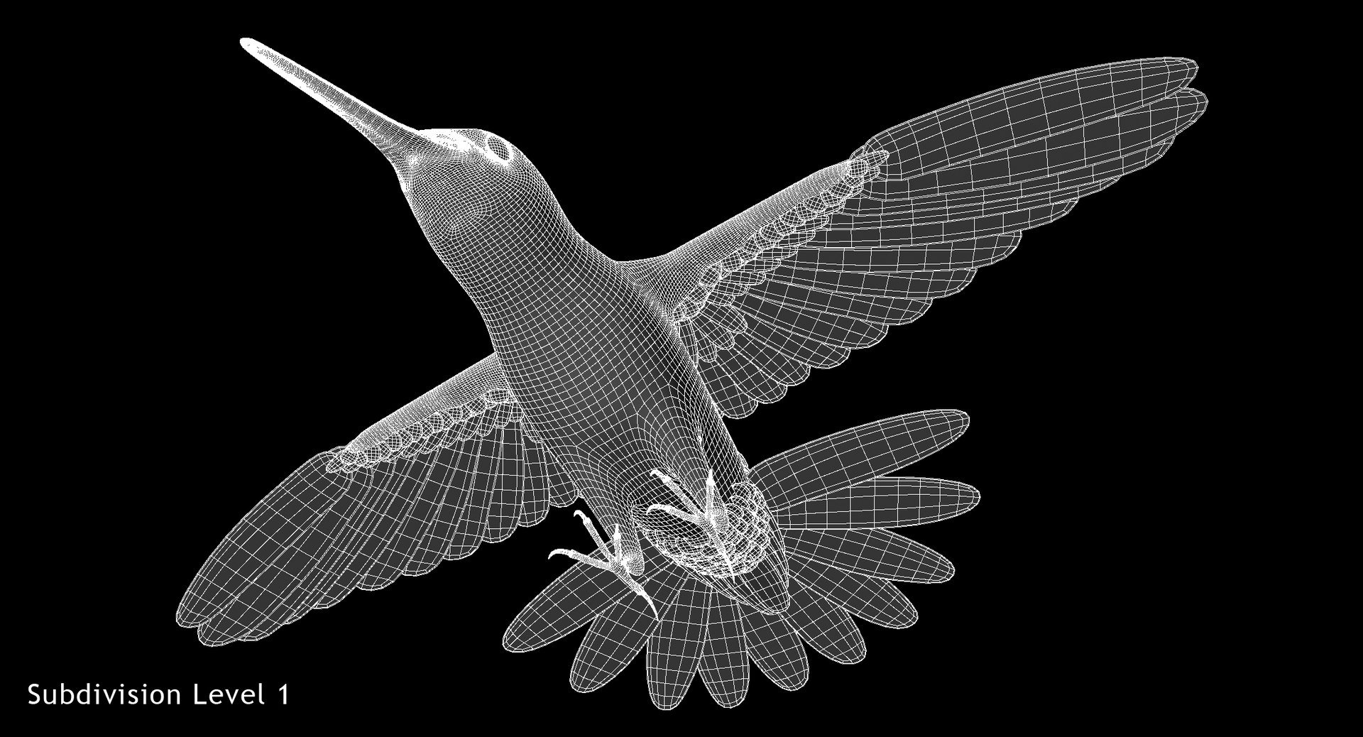3D Anna S Hummingbird Animation Model - TurboSquid 1454246