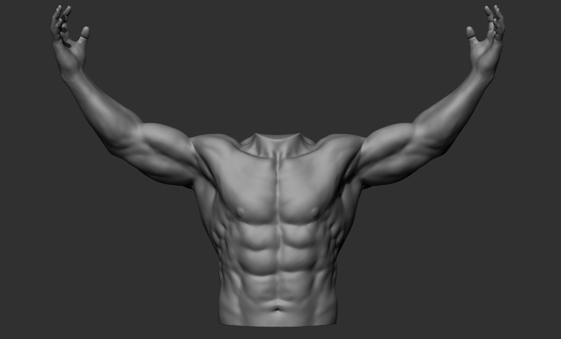 3D 4 Male Torsos Model - TurboSquid 1983744