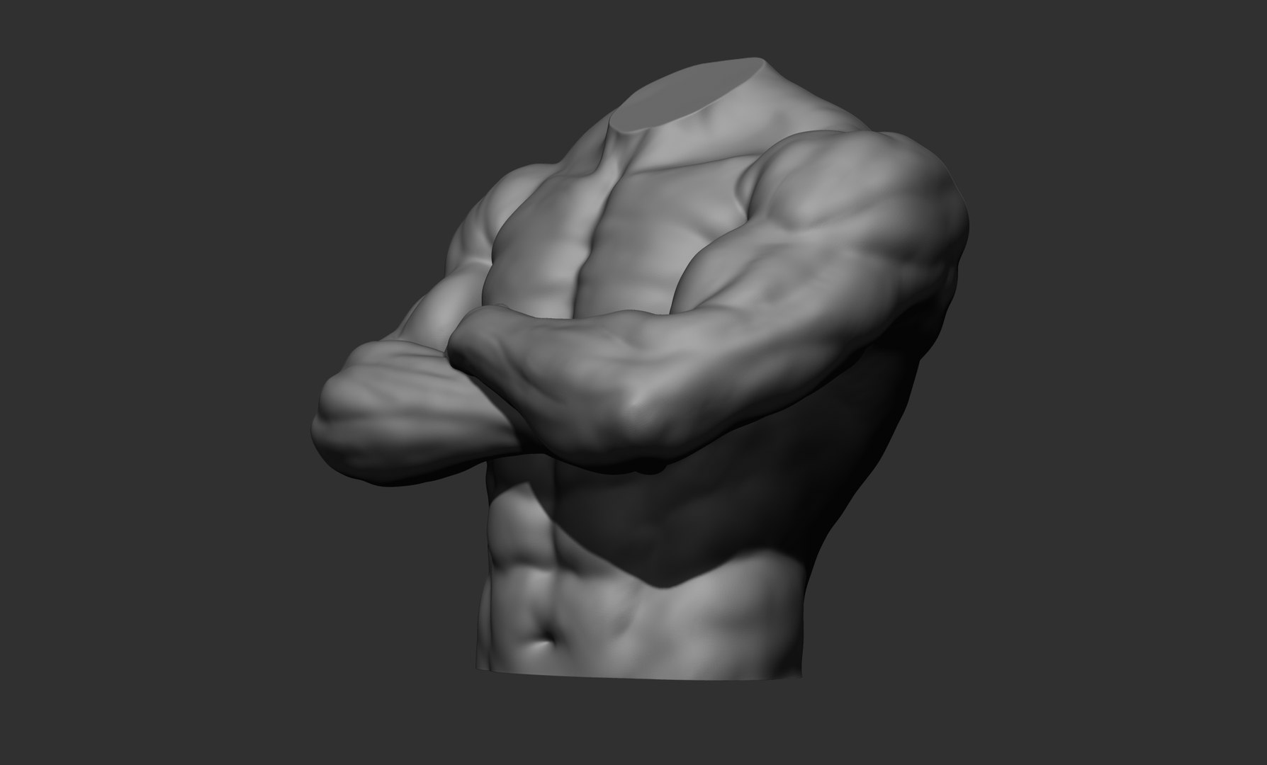 3D 4 Male Torsos Model - TurboSquid 1983744