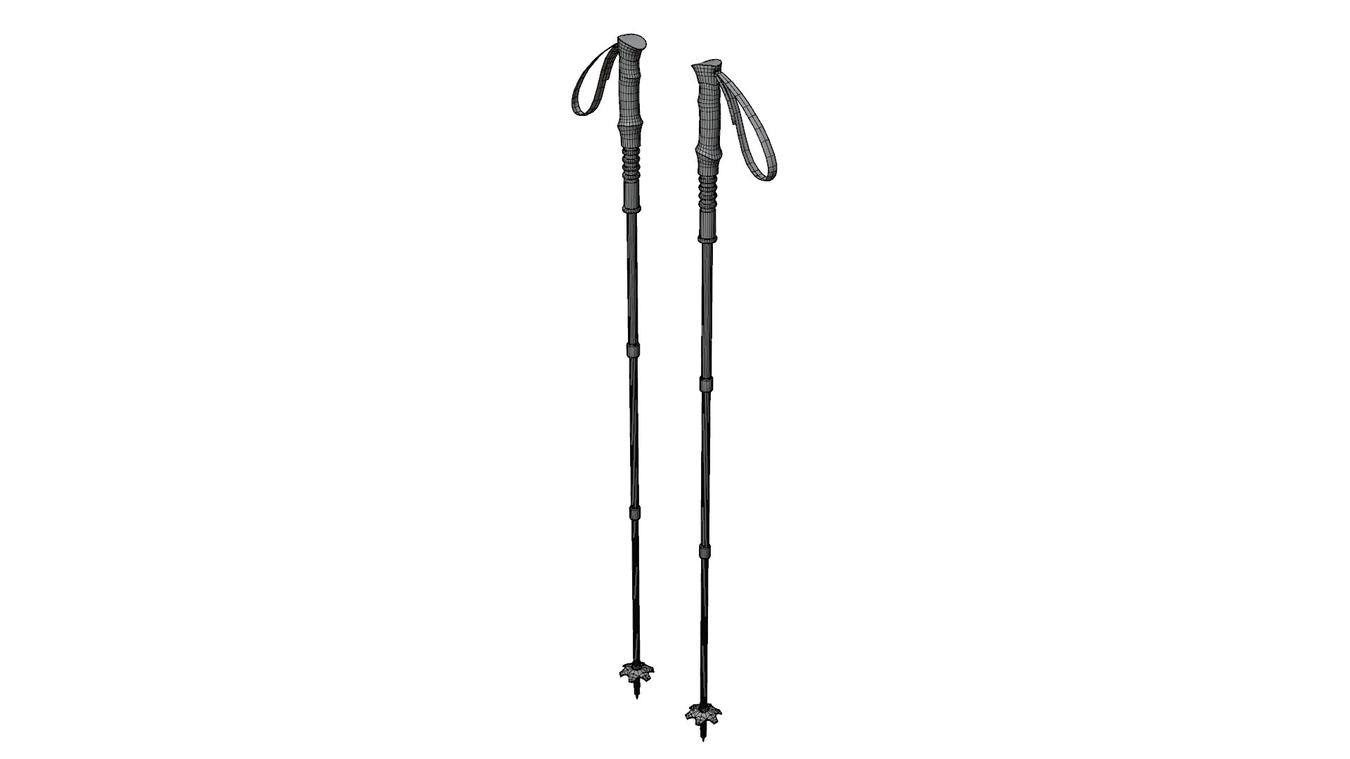 3D Hiking Poles Model - TurboSquid 1945561