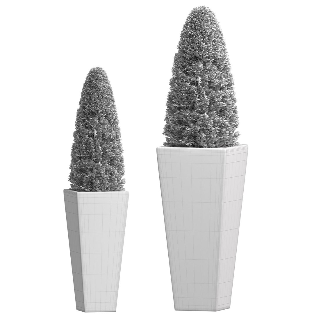 3D Decorative tree Thuja Boxwood Pine in garden vase Patio Porch ...