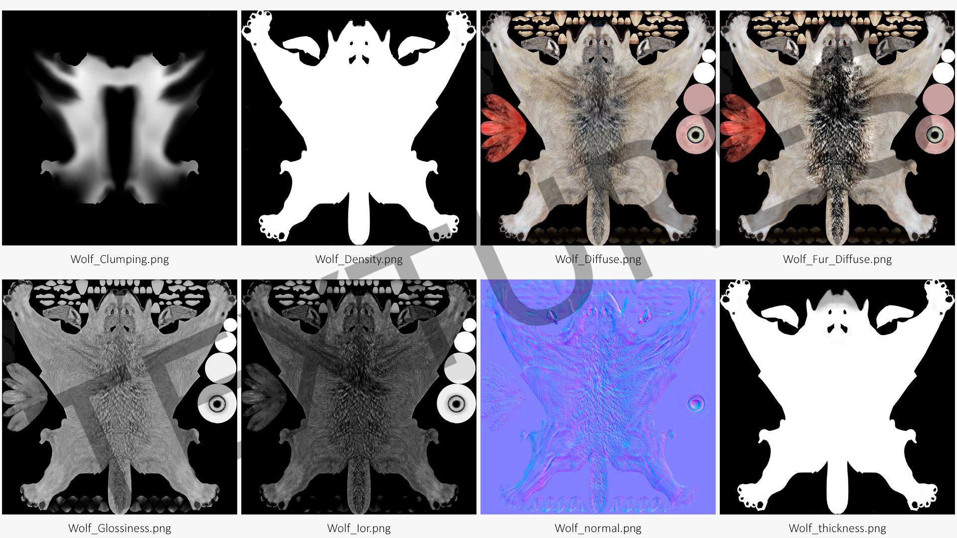 3D Grey Wolf Fur Model - TurboSquid 2215090