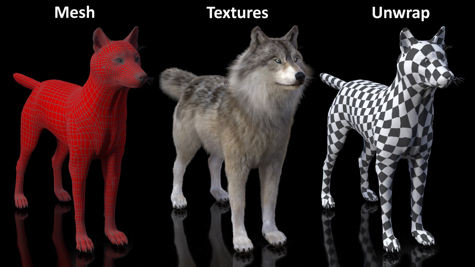 3D Grey Wolf Fur Model - TurboSquid 2215090