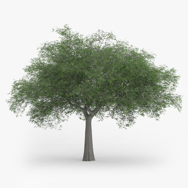 obj tree
