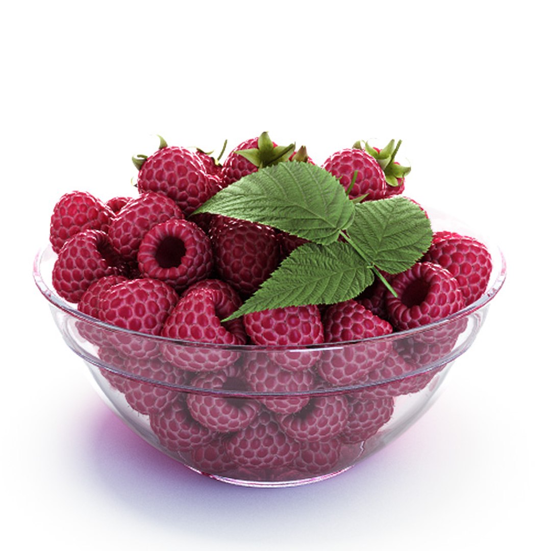 raspberry plate 3d model