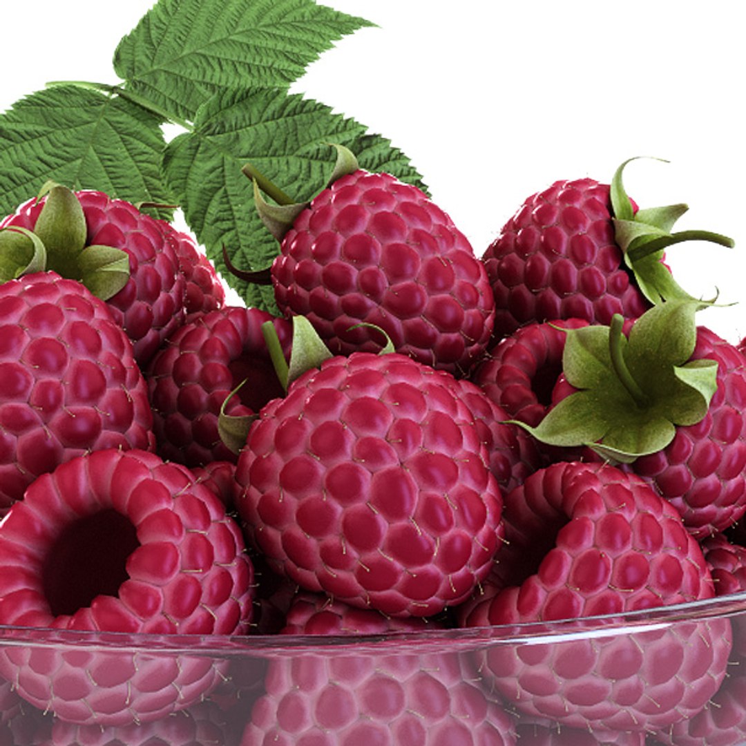 Raspberry Plate 3d Model