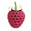 Raspberry Plate 3d Model