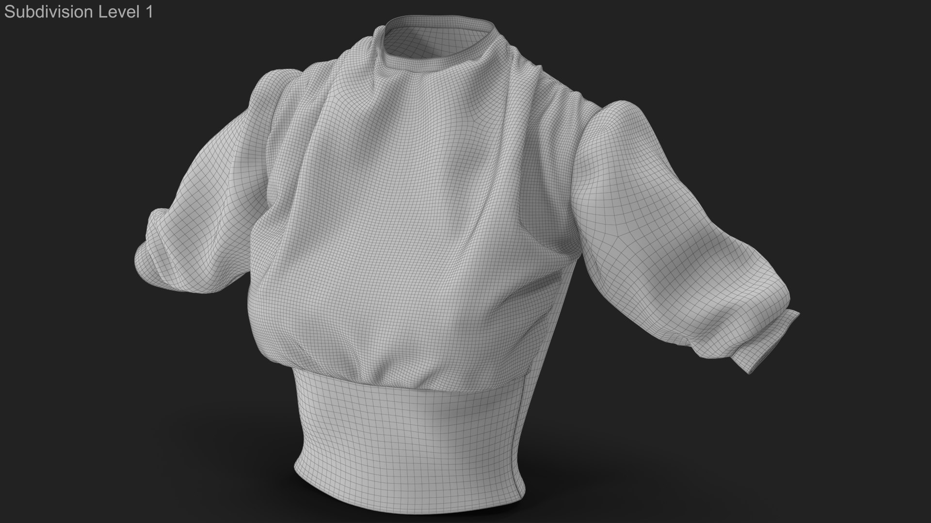 Blouse 5 3D Model - TurboSquid 2124489