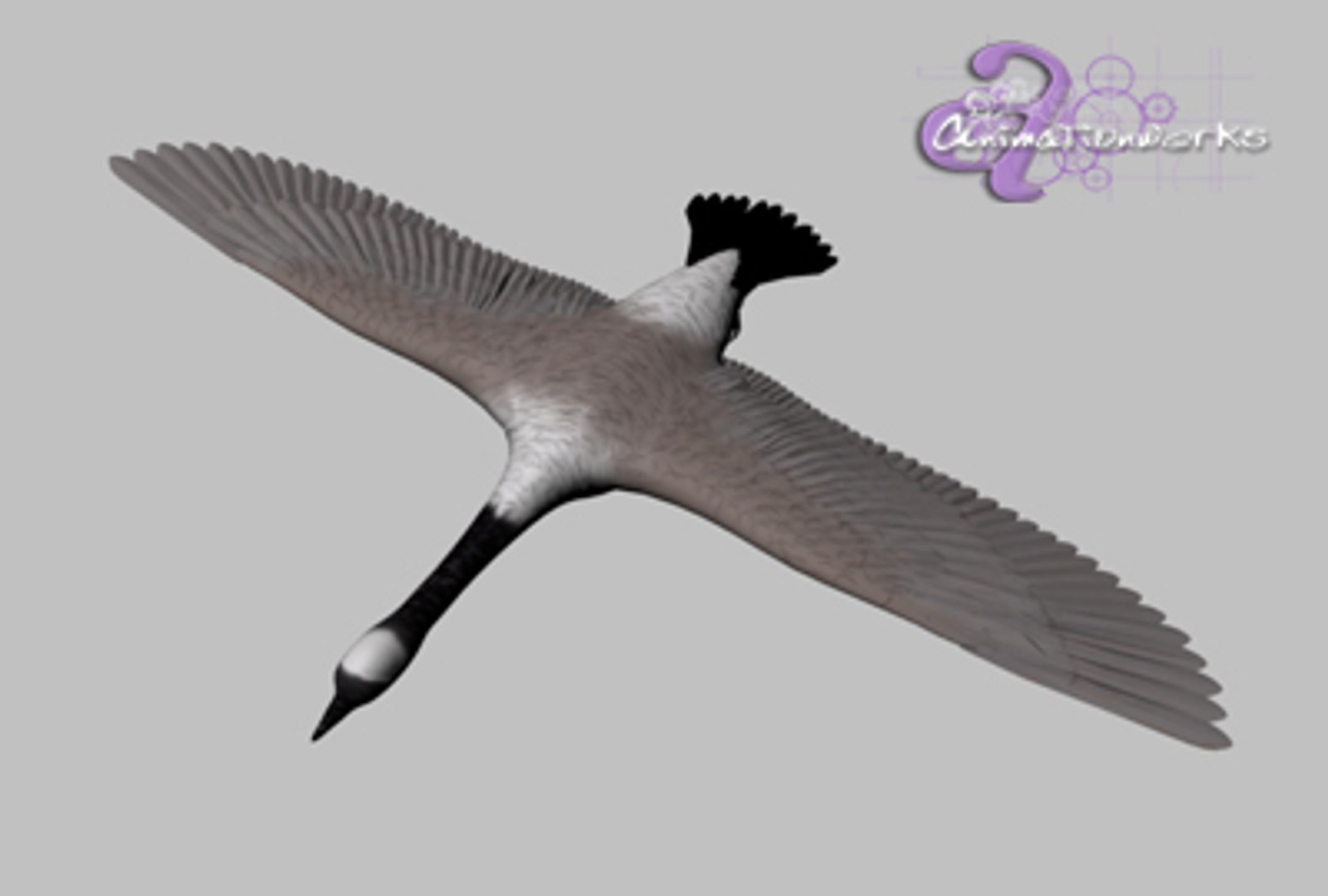 3d Canadian Goose Model
