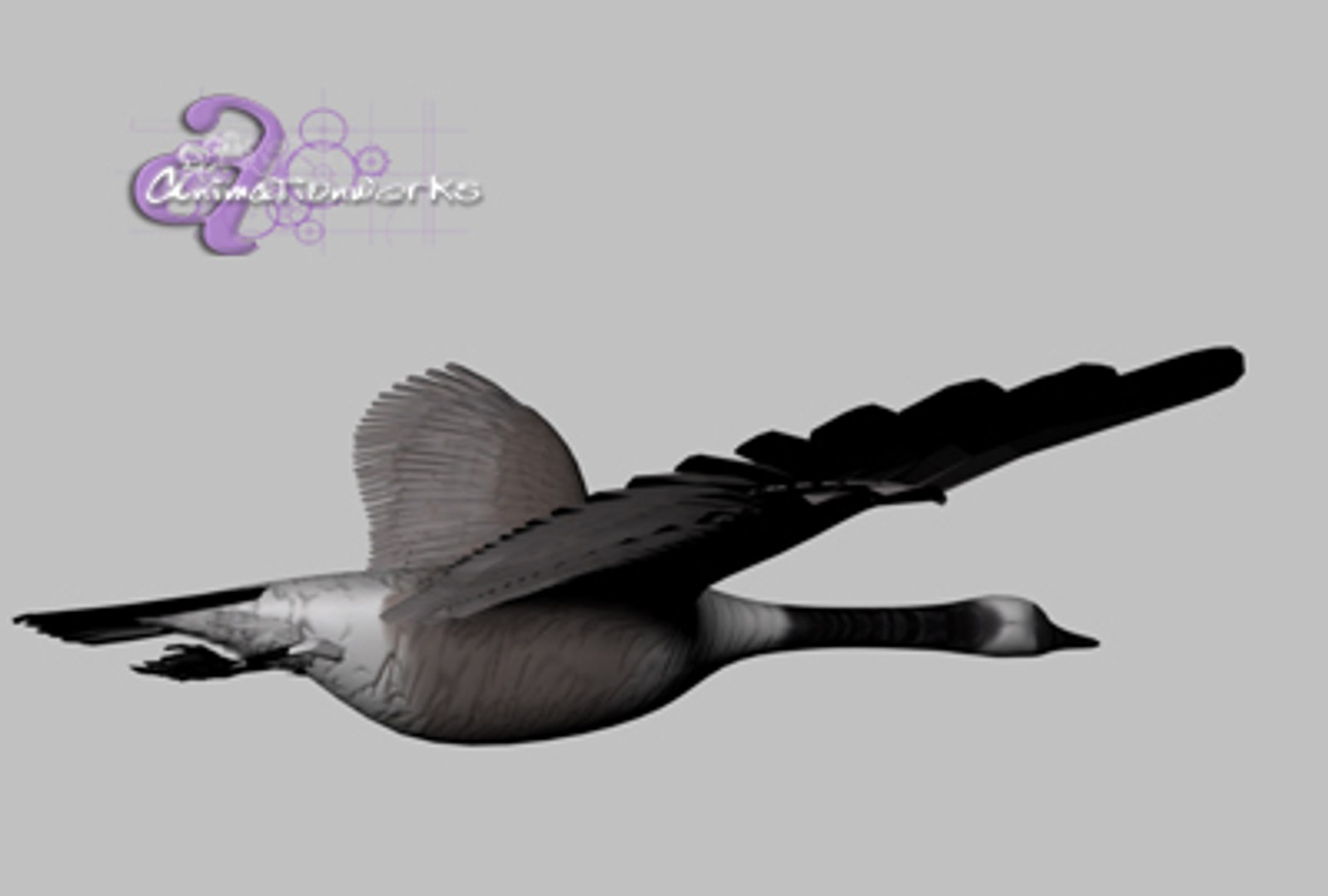 3d Canadian Goose Model