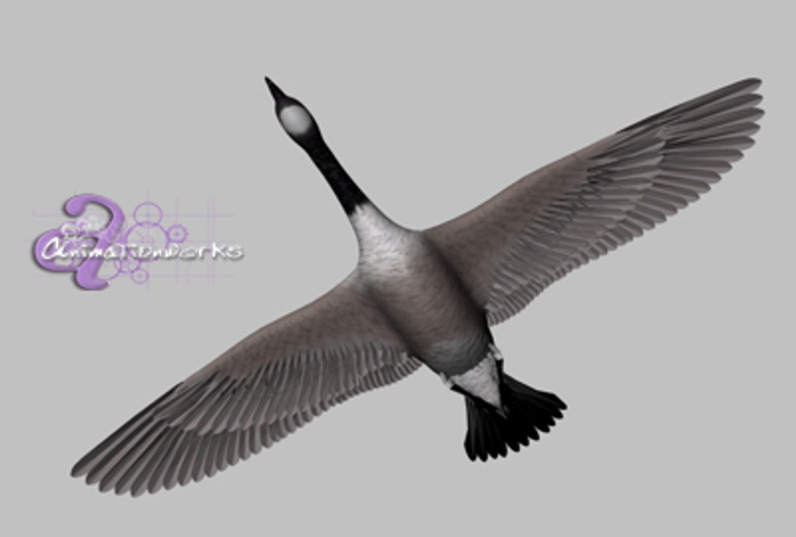 3d Canadian Goose Model