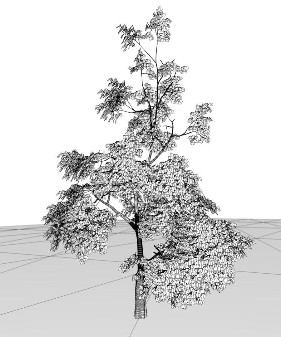 Trees Pack 3D Model - TurboSquid 1153956